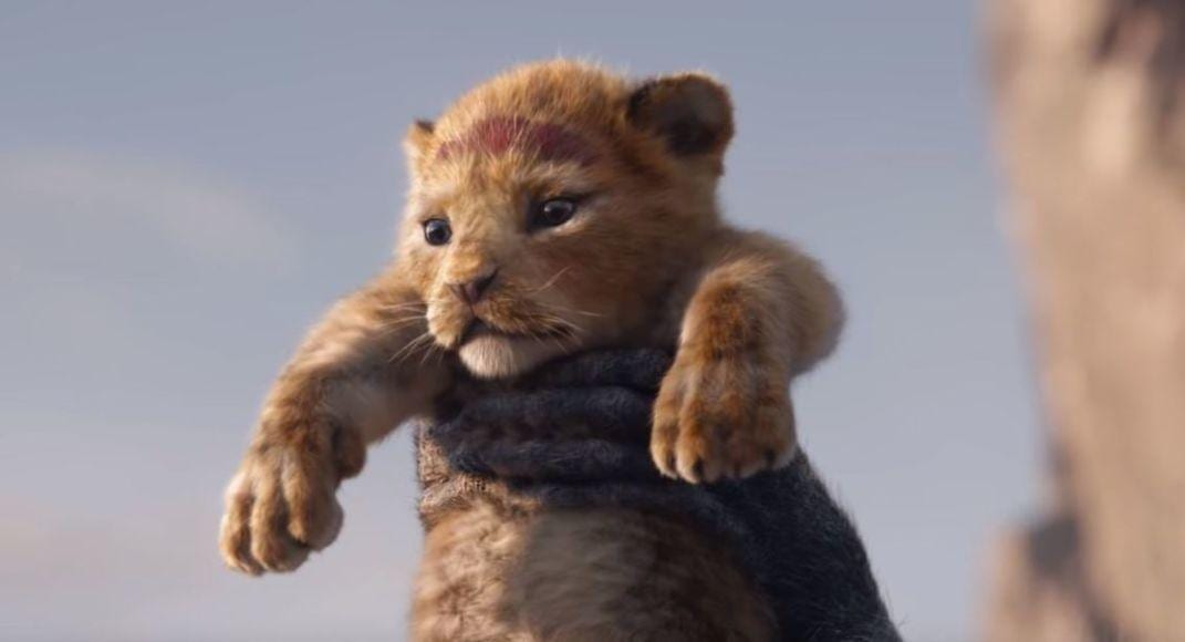 Il Re Leone (2019): la recensione del nuovo live-action Disney ...