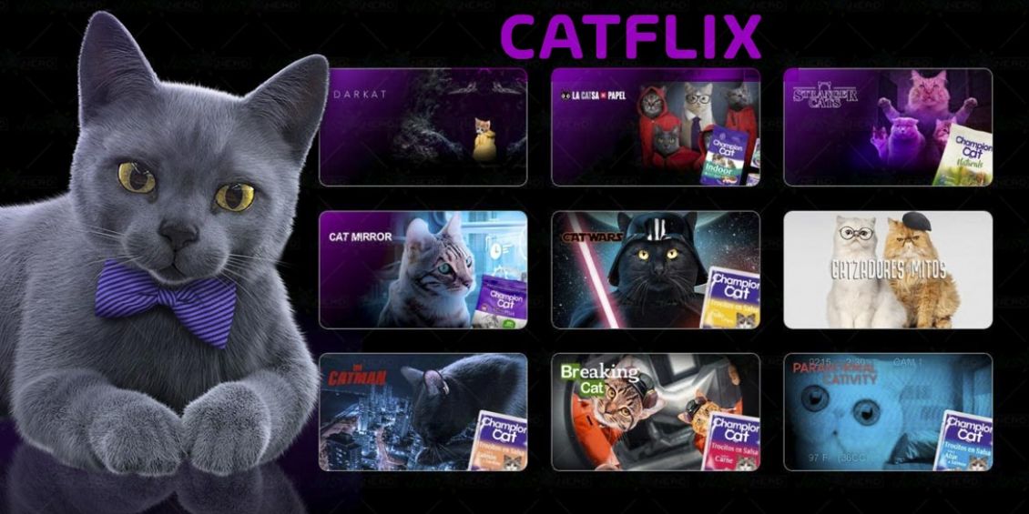 Catflix: arriva in un miao il Netflix dei gatti - Justnerd.it