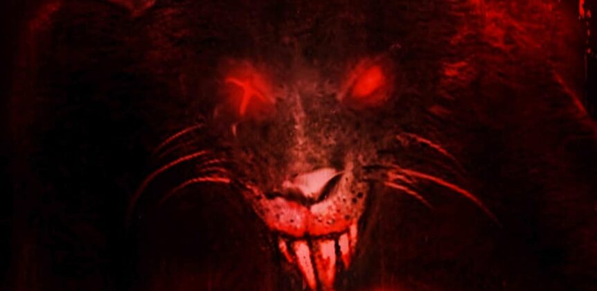 Big Freaking Rat: un ratto gigante assetato di sangue nell'horror più ...